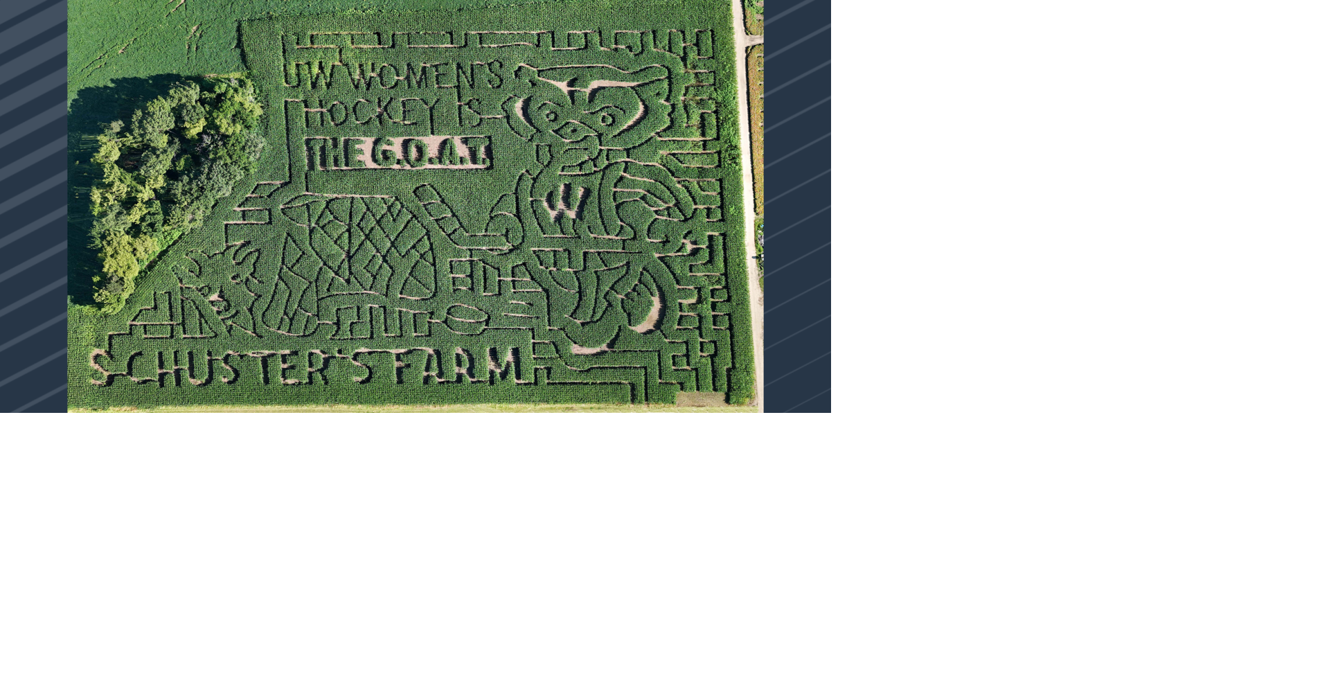 Schuster's Farm pays tribute to Badger women's hockey national title ...