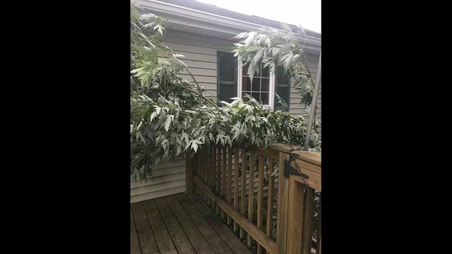 Severe weather sends power lines and trees toppling across southern ... Severe weather sends power lines and trees toppling across southern ...