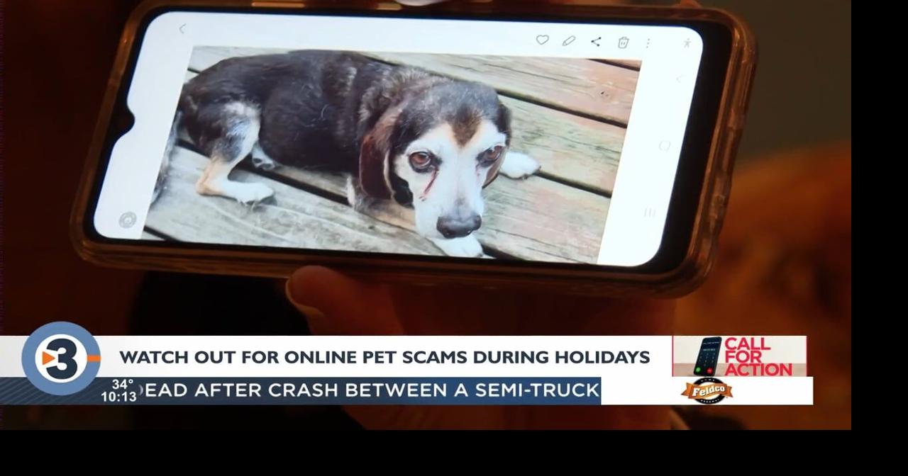 'These people don't exist': Dane Co. couple warning others after ...