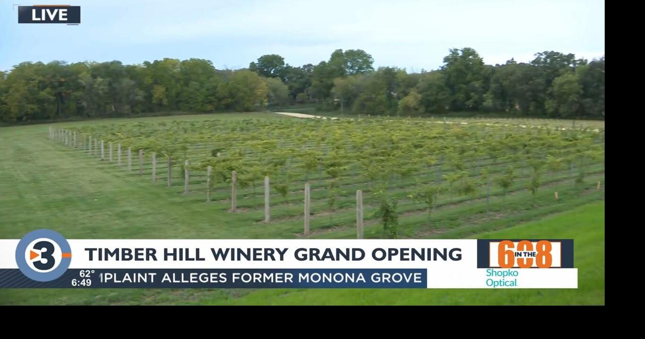 In the 608: Timber Hill Winery Grand Opening Weekend | Features ...