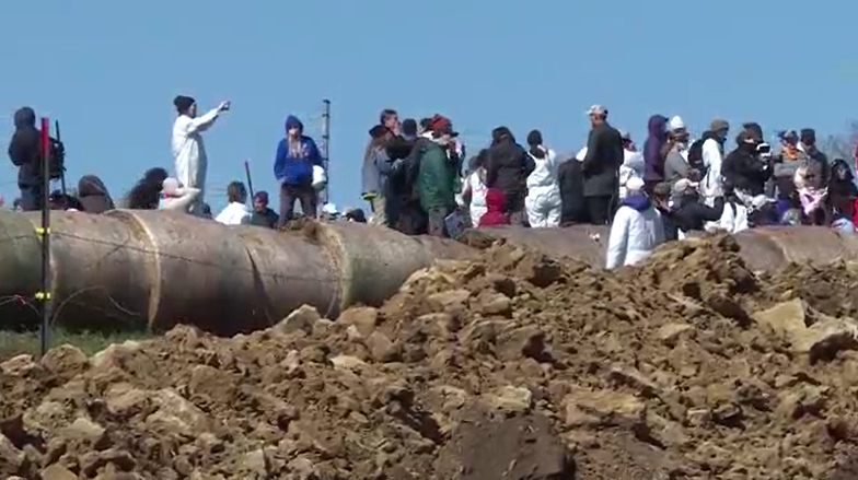 Ridglan Farms cited for manure-filled trench built to stop protesters ...
