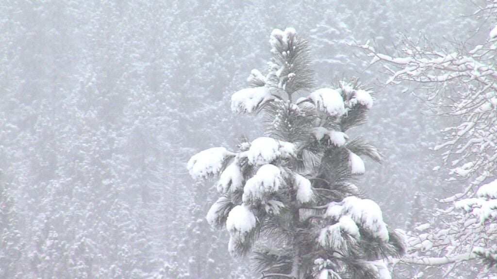 Madison declares snow emergency as major snowfall approaches | News ...