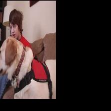 Puppy power: Couple pedaling cross-country for service dogs | Health ...