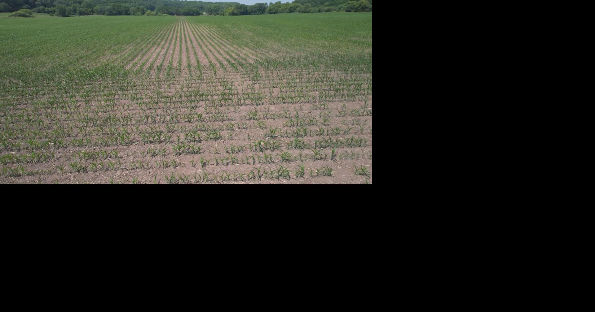 USDA announces $19.5 million for rural energy, infrastructure ...