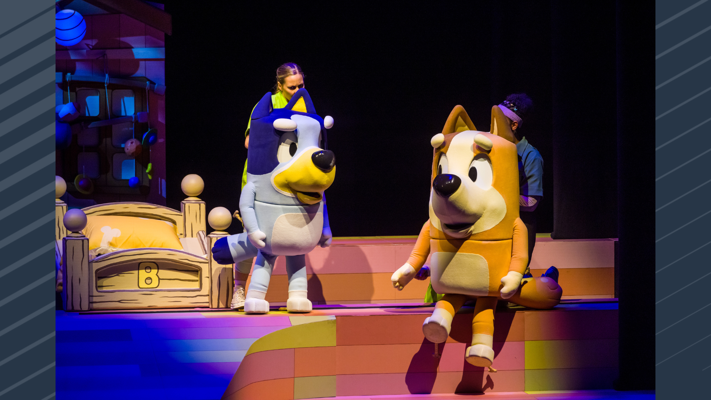 Bluey stage show to make a return to Madison in September | News ...