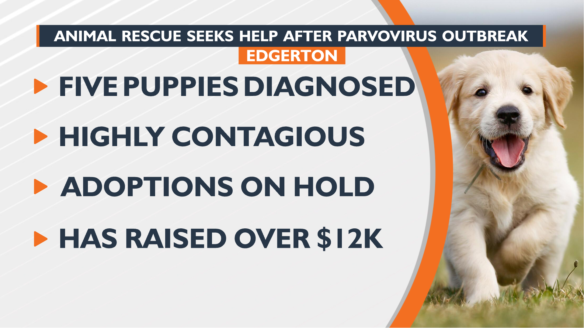 Edgerton animal rescue seeks help after parvovirus outbreak | News ...