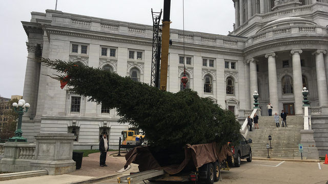 State Christmas tree delivered to Capitol | Local News | channel3000.com