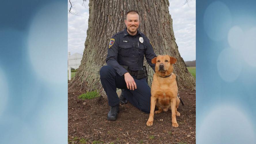 Waunakee police K-9 dies after illness | Crime news | channel3000.com
