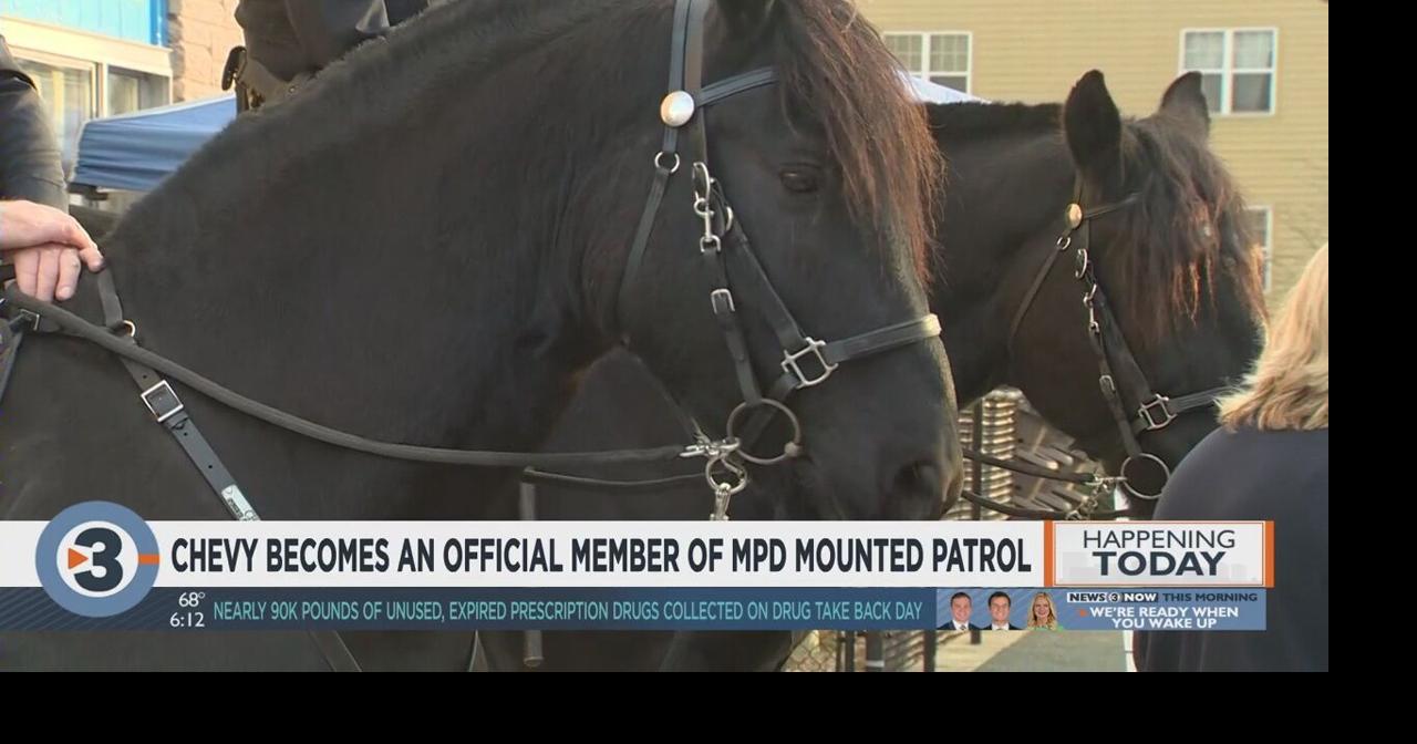 Police horse Chevy becomes official member of MPD Mounted Patrol ...