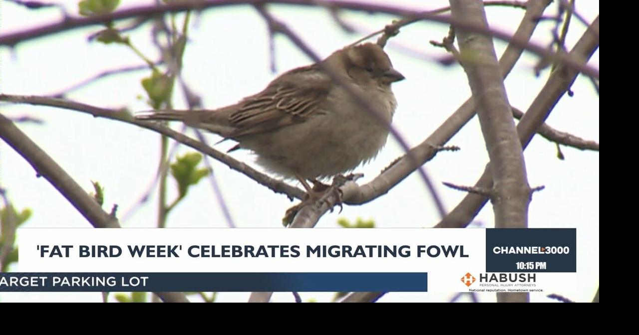 Wisconsin 'Fat Bird Week' flies its way back in May | News ...