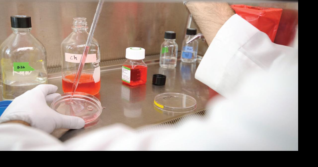 Madison is home to one of the world’s top virologists | City Life ...