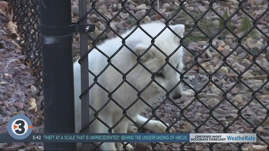 In the 608: Enjoy some free family fun at Ochsner Park Zoo in Baraboo ...