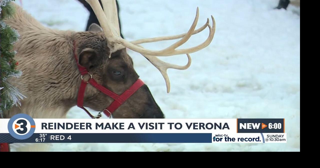 Reindeer rule at Sugar Creek Elementary School in Verona | Local News ...