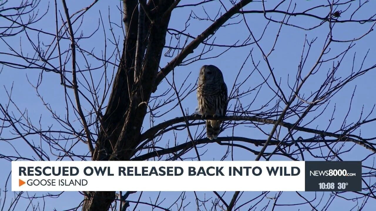 Channel 3000 | Madison, WI news and weather