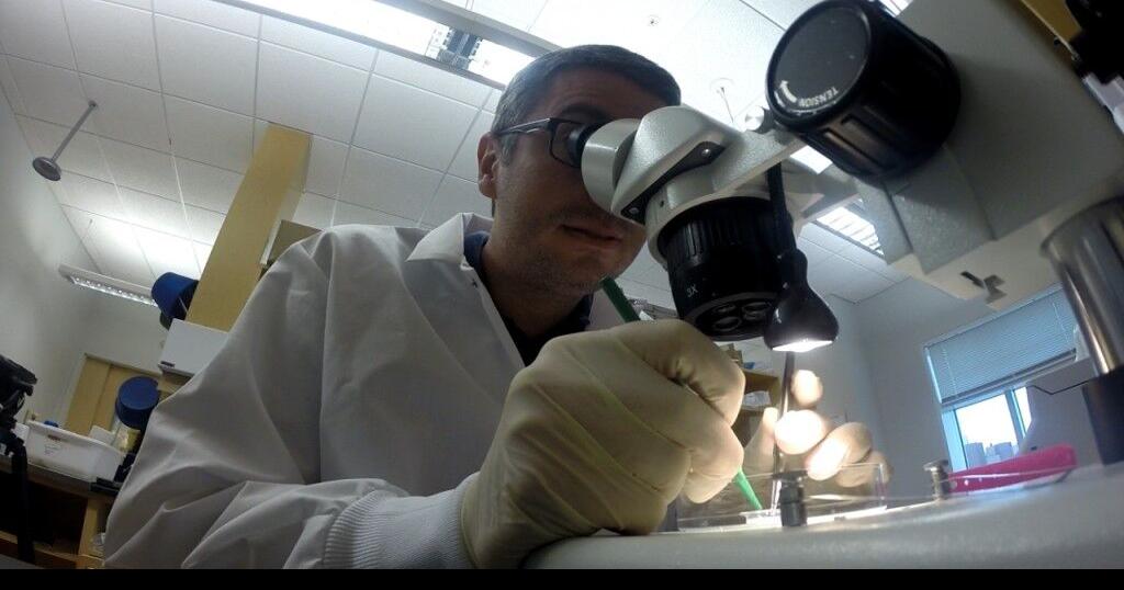 Hmong-American doctor inspired by heritage | Local News | channel3000.com