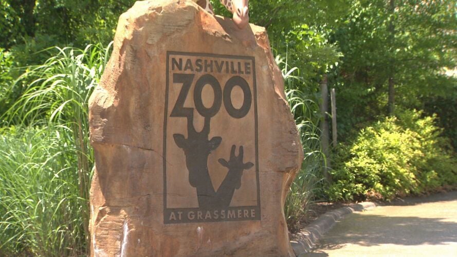 Nashville Zoo fights proposed data center next door, citing risks to ...