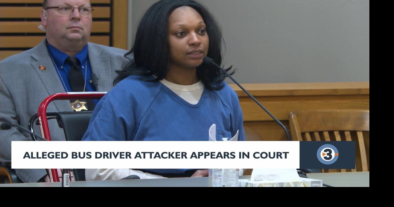 Alleged bus driver attacker appears in court, records show dozens of ...