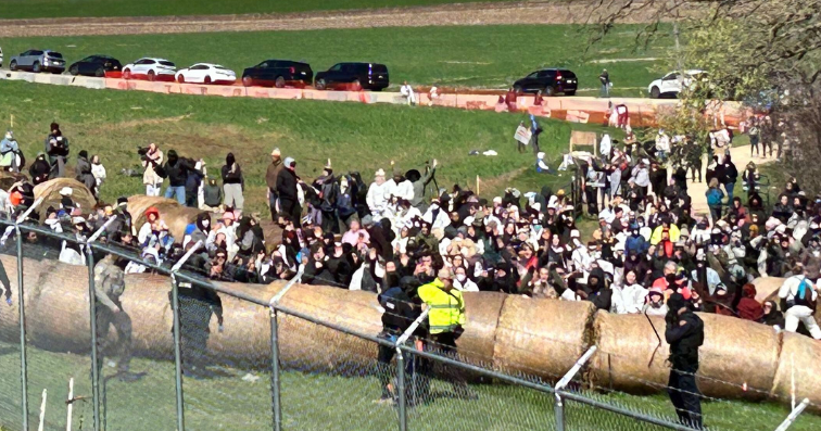 After announcing rescue of beagles, adoption page now removed | News ...