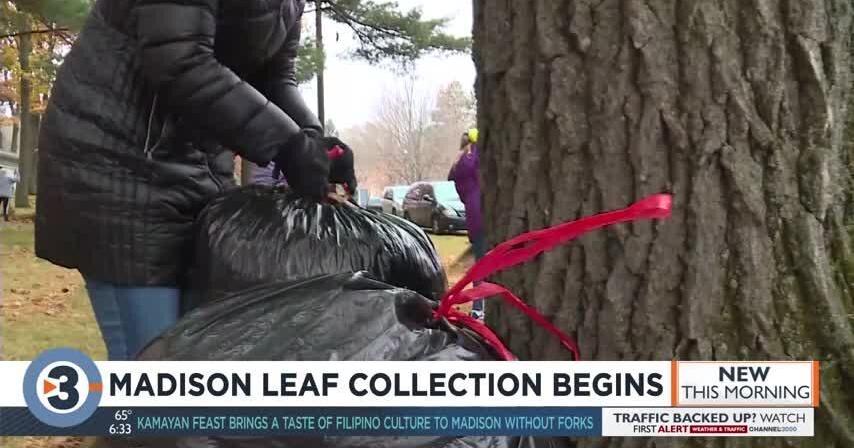 Madison leaf pick up begins today, crews hope it will promote lake ...