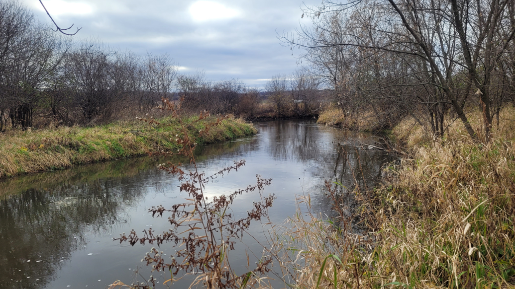 Wisconsin DNR removes PFOS advisory for fish caught from Black Earth ...
