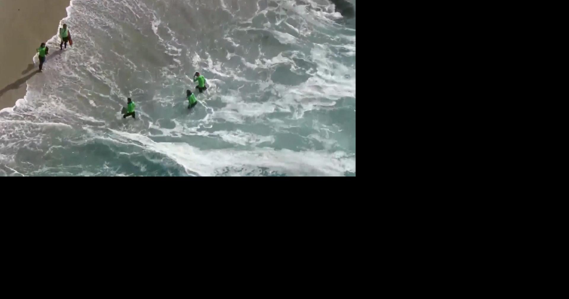 Officials say girl, 5, missing after being swept away into ocean in ...