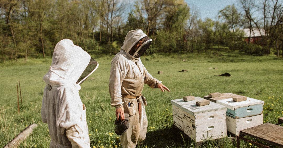 These local beekeepers have honey in their veins | MADISON MAGAZINE ...