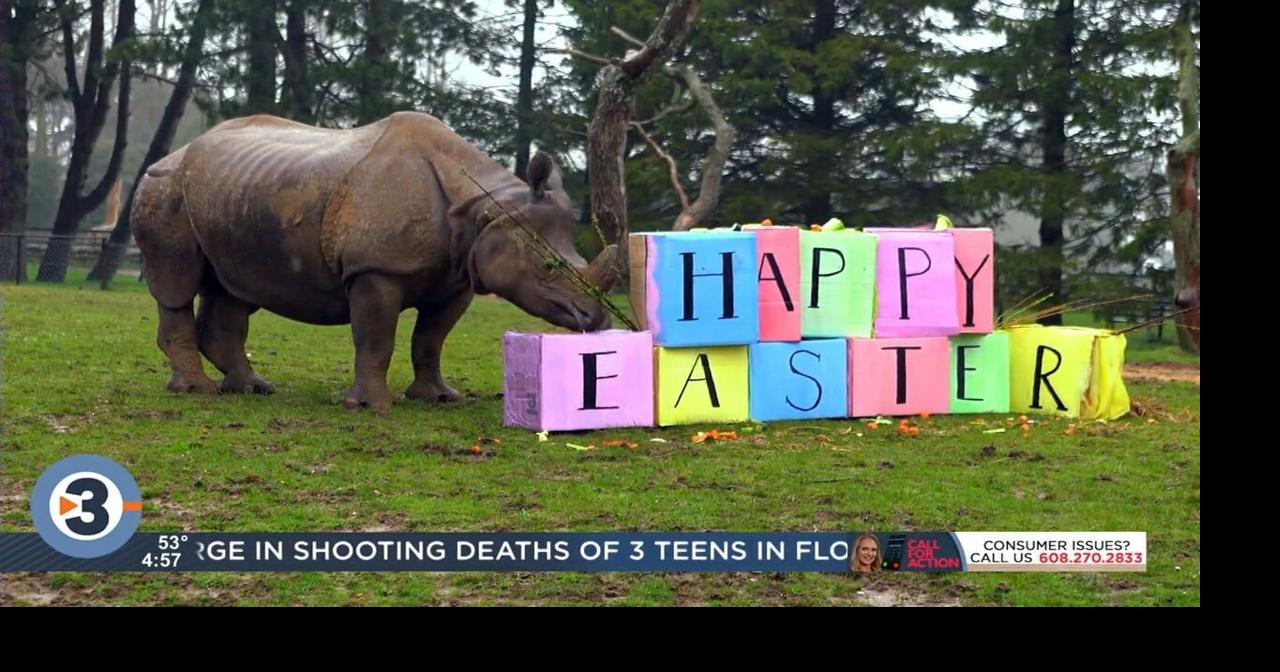 Newshounds Now Update: Animals celebrate Easter | Features ...