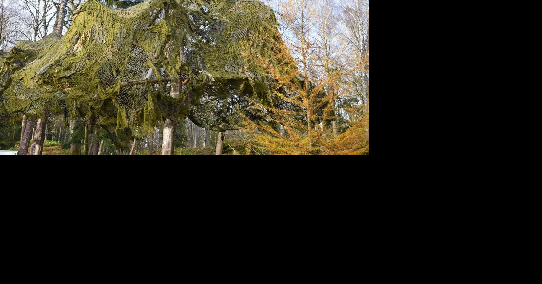 Inside the Wolf’s Lair, the hidden forest headquarters where Hitler ...