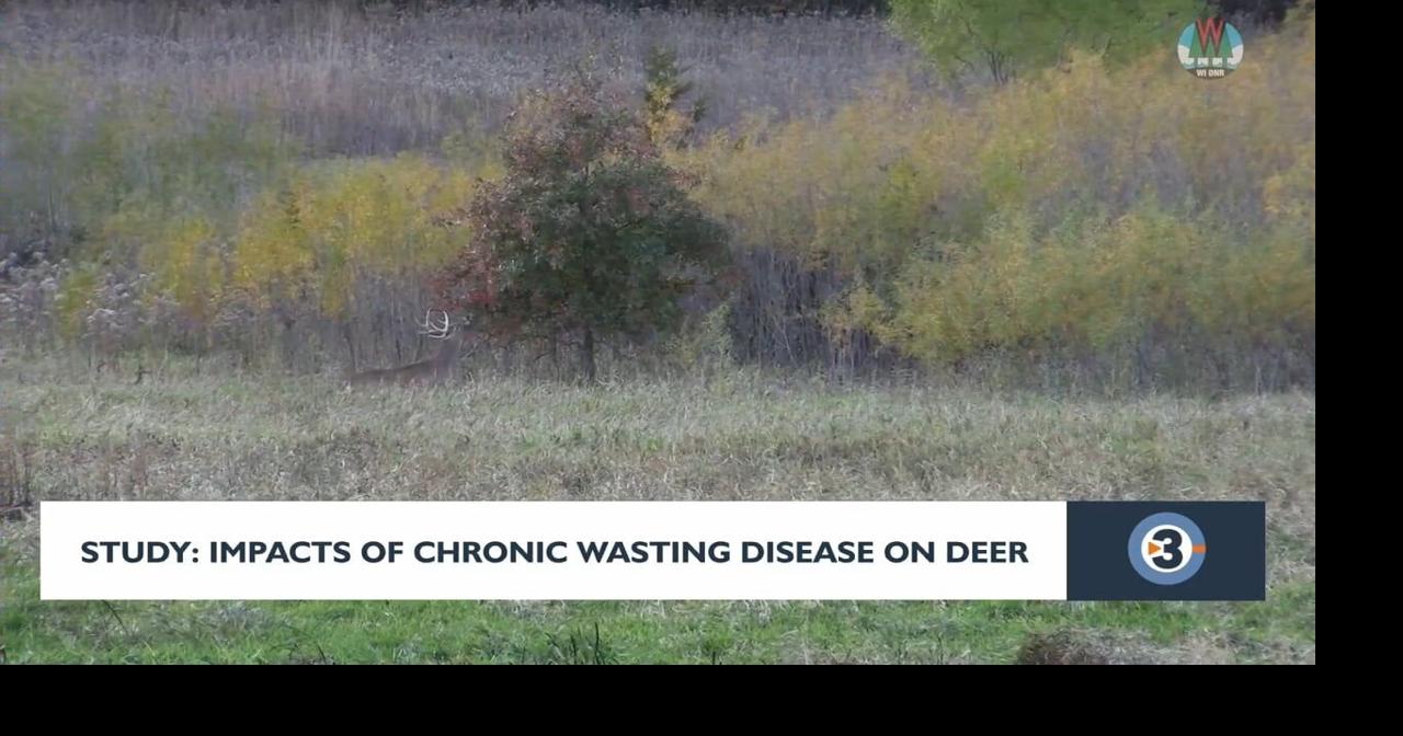 New study shows impacts of chronic wasting disease on deer | Video ...