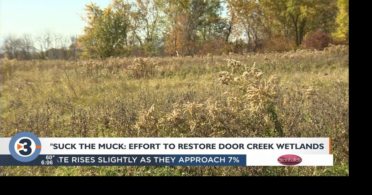 Dane County to buy land along Door Creek as part of ‘Suck the Muck ...