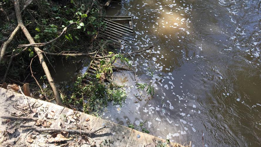PHOTOS: Flooding in Middleton damages Pheasant Branch Conservancy ...