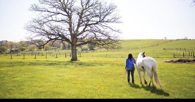 Stacey Bean went from physician to healer | City Life | channel3000.com