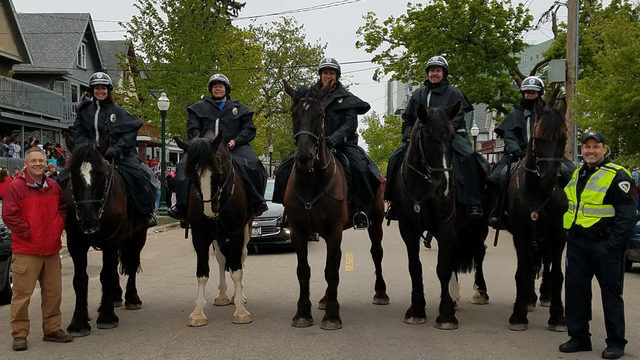 Madison police welcome 6th horse to mounted patrol unit | Features ...