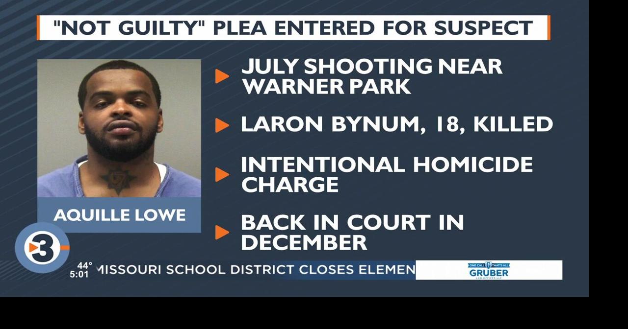 Not guilty plea entered for man charged in fatal shooting near Warner ...