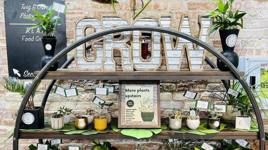 GROW Greenhouse opens second location inside Garver Feed Mill | MADISON ...