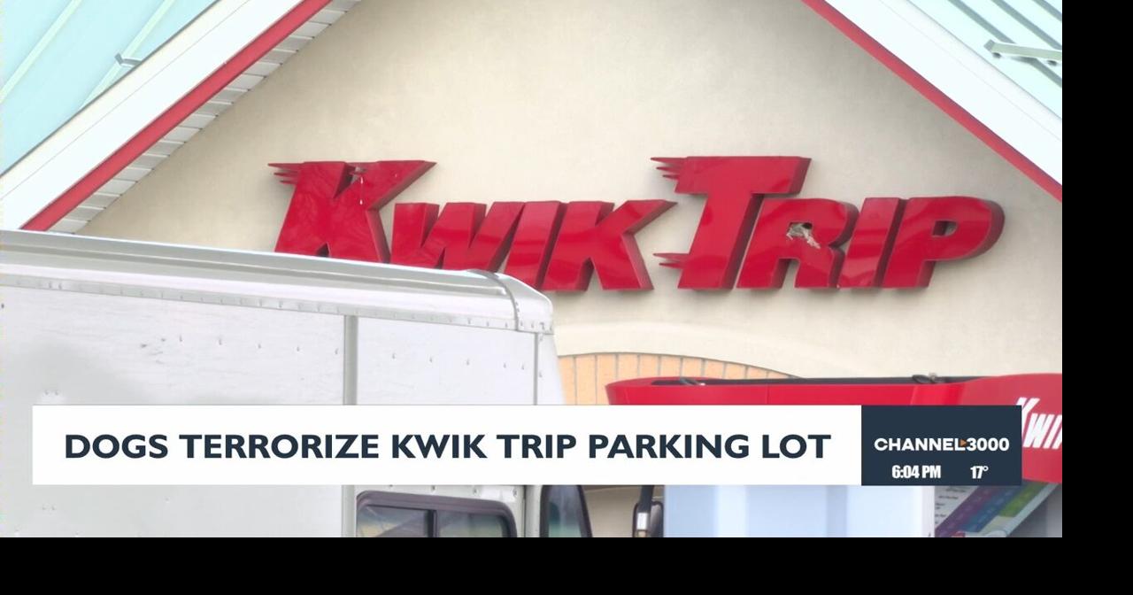 ‘It was chaotic’: MPD cites woman after numerous dogs escape, attack in ...