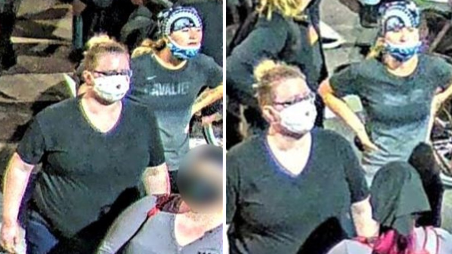 Madison police arrest 2 women accused of attacking state senator ...