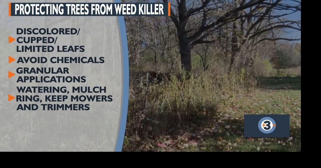Madison Urban Forestry Division reminds residents not to incorrectly ...