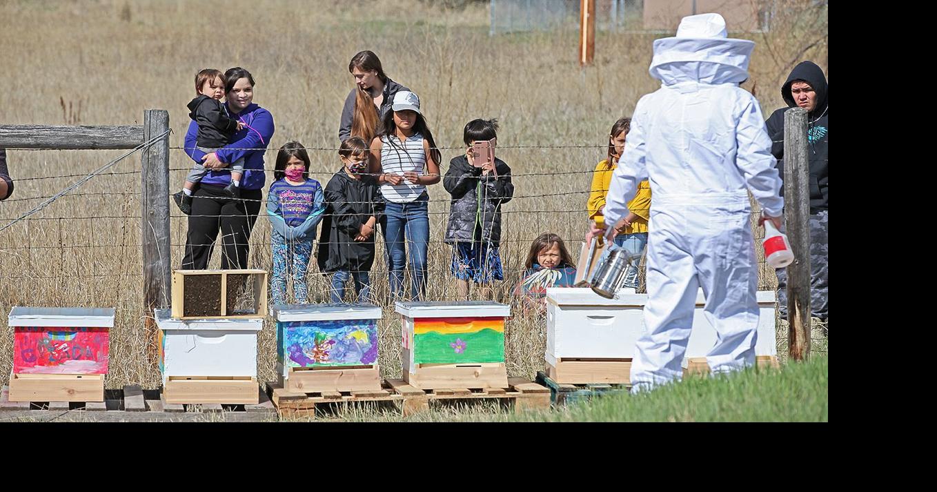 Elmo kids learn pollinators are the bees knees | News | charkoosta.com