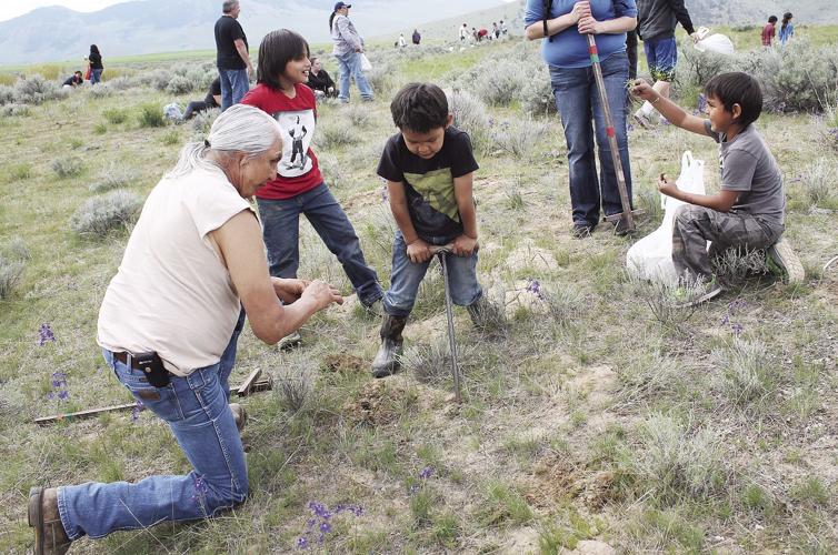 Youth dig into bitterroot harvest | News | charkoosta.com