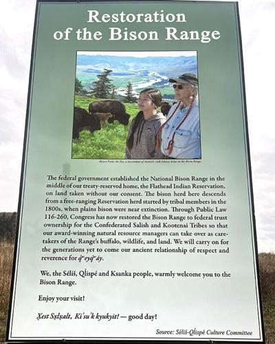 Efforts and triumphs showcased by documentaries about reclaiming ...