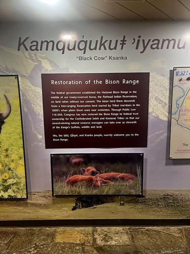 Efforts and triumphs showcased by documentaries about reclaiming ...