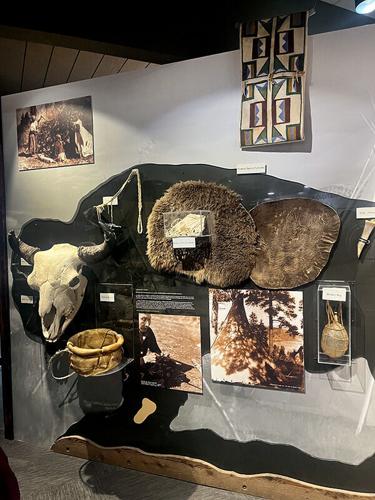 Efforts and triumphs showcased by documentaries about reclaiming ...