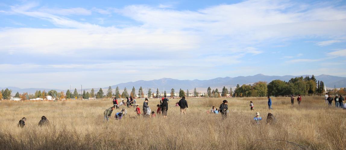 Replanting culture and history on aboriginal land | News | charkoosta.com