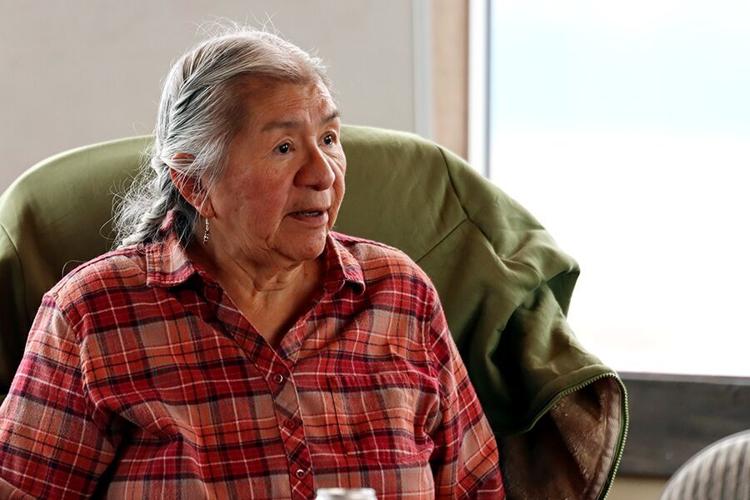 Bison Range, Wildlife Discussed at Elders' Meeting | News | charkoosta.com