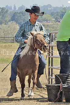 Future rodeo stars Learn the Ropes | News | charkoosta.com