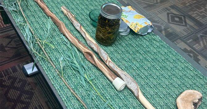 Willow Presentation Explores Indigenous Knowledge, Practice | News ...