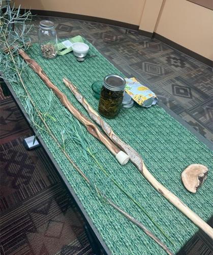 Willow Presentation Explores Indigenous Knowledge, Practice | News ...