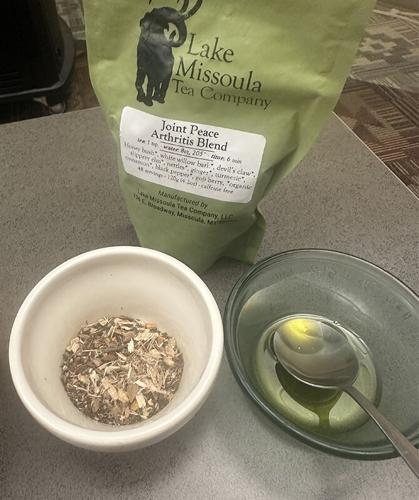 Willow Presentation Explores Indigenous Knowledge, Practice | News ...