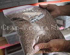 CSKT Forestry Department greenhouses help spread diversity throughout ...